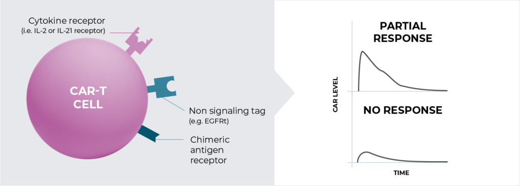 Cis-targeted Cytokine Augmentation of Cell Therapies - Asher Bio
