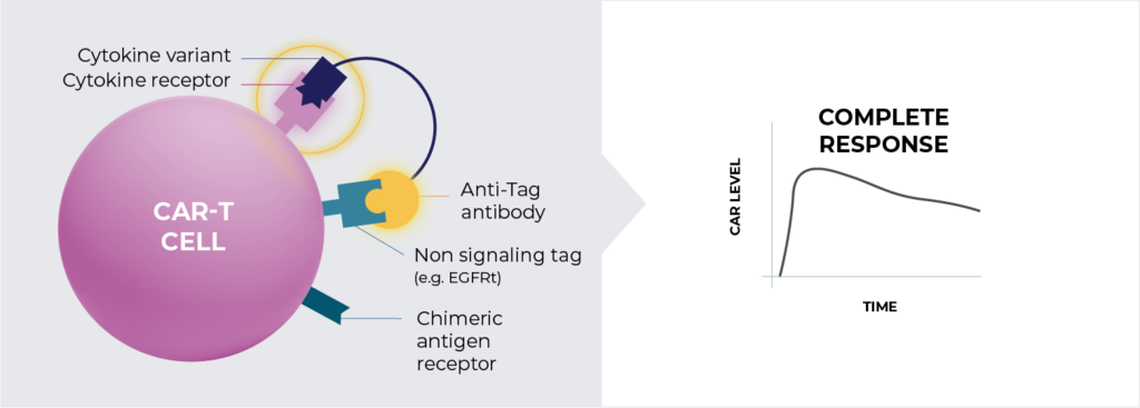 Cis-targeted Cytokine Augmentation of Cell Therapies - Asher Bio
